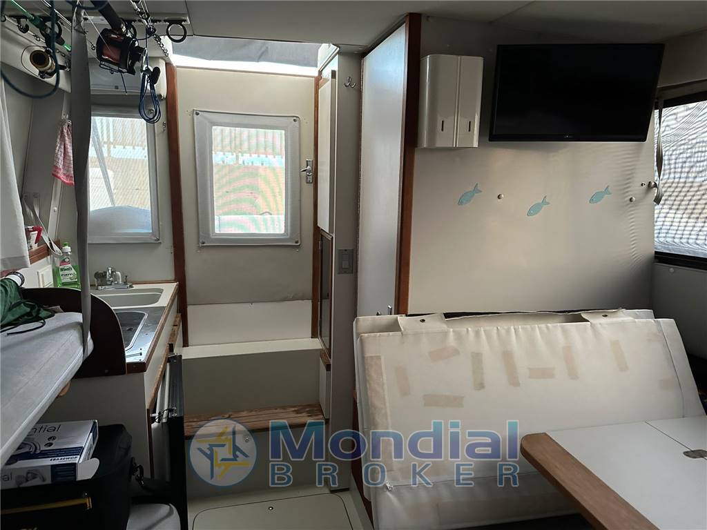 Phoenix 29 Fly sport fisherman Usato del 1990, Vendita Phoenix 29 Fly ...