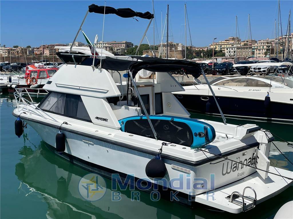 Phoenix 29 Fly sport fisherman Usato del 1990, Vendita Phoenix 29 Fly ...