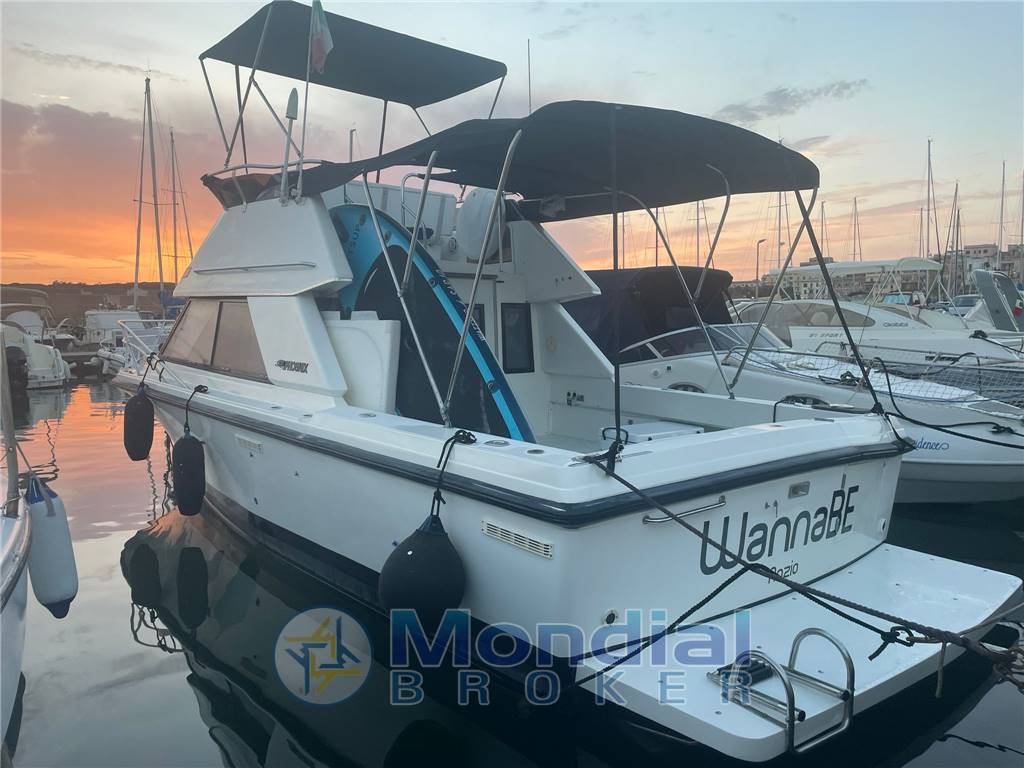 Phoenix 29 Fly sport fisherman Usato del 1990, Vendita Phoenix 29 Fly ...